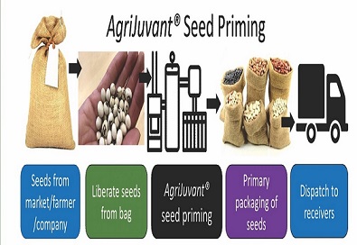 Synergistic Seeds | seed priming · sustainable agriculture